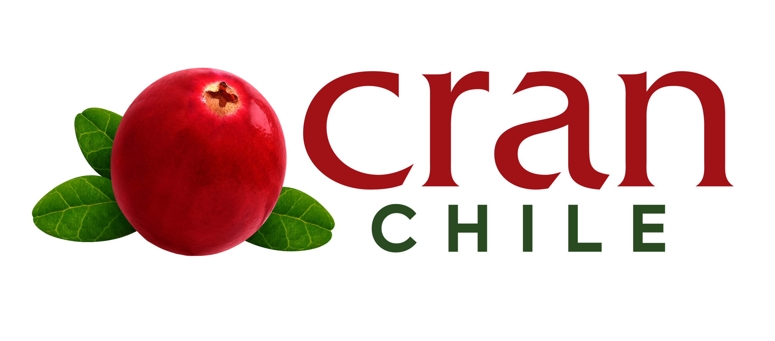 Crann Png BW CRAN+ 12x500ml Cran/Apple