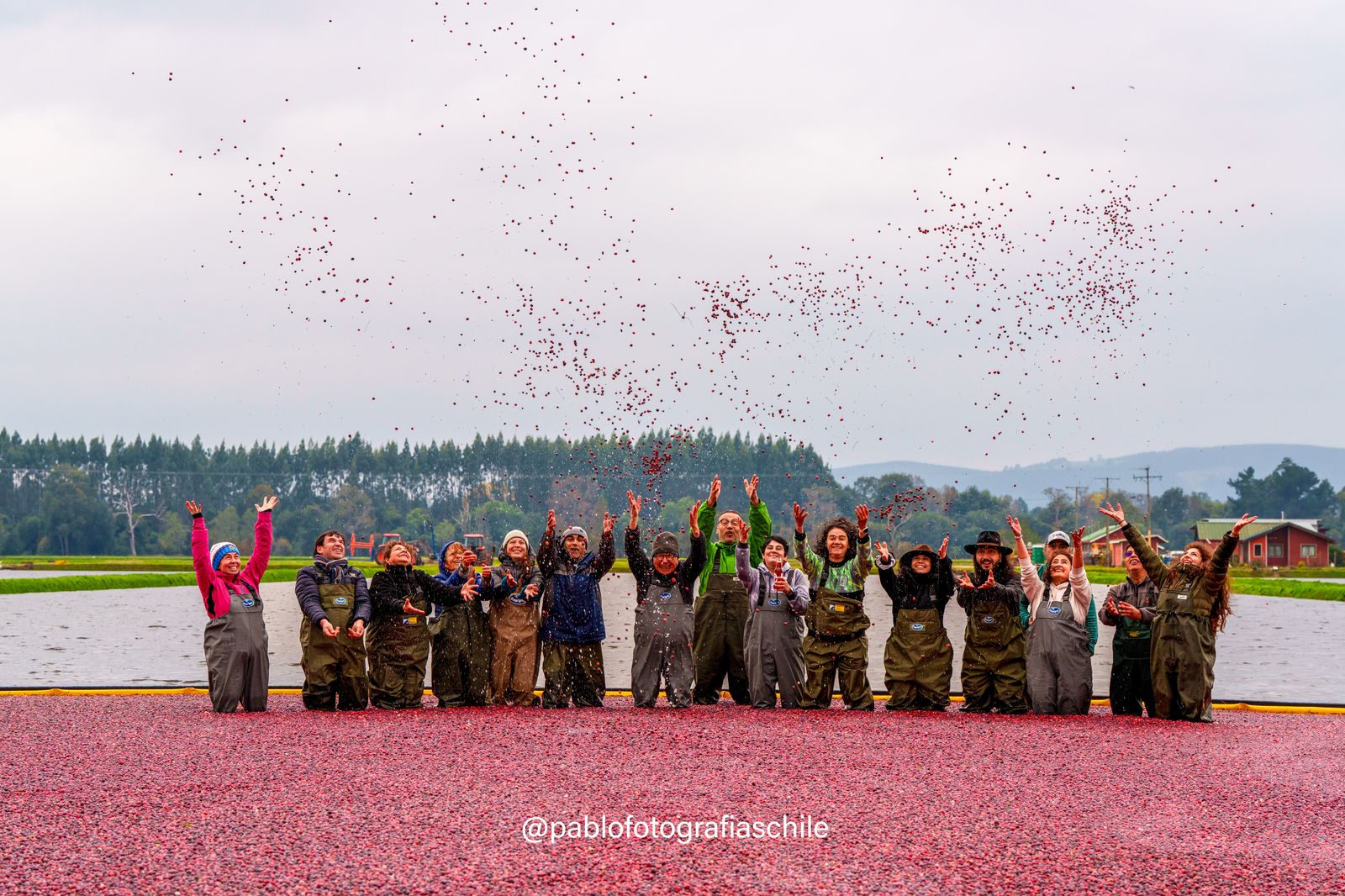 1er Encuentro del Cranberry: La cosecha del sur nos espera - Cran Chile